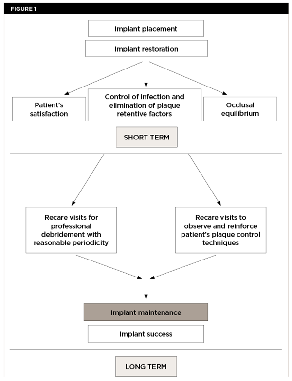 The Key Points of Maintenance Therapy for Dental Implants: A Literature ...