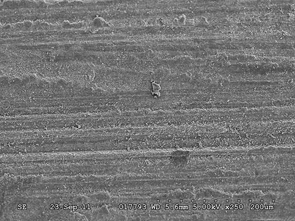 Surface Roughness of Methacrylate- and Silorane-Based Composites After ...