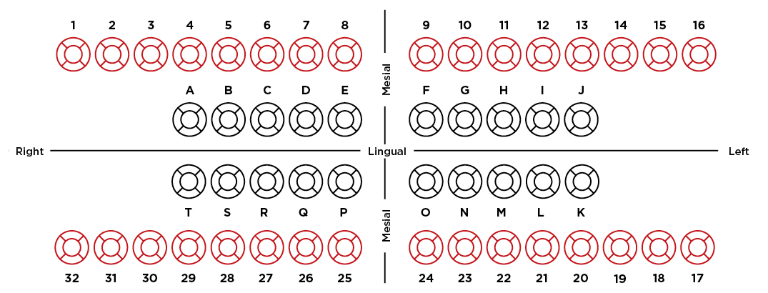An Electronic Screening System for Oral Health Examination and ...