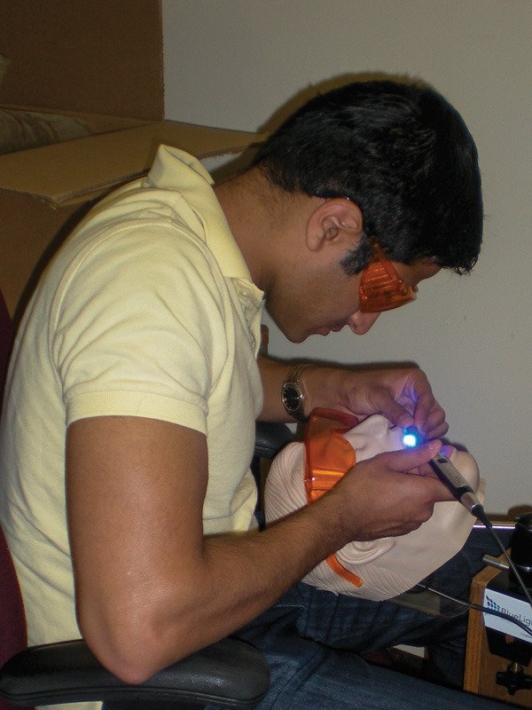 Effect of Curing Light and Restoration Location on Energy Delivered ...